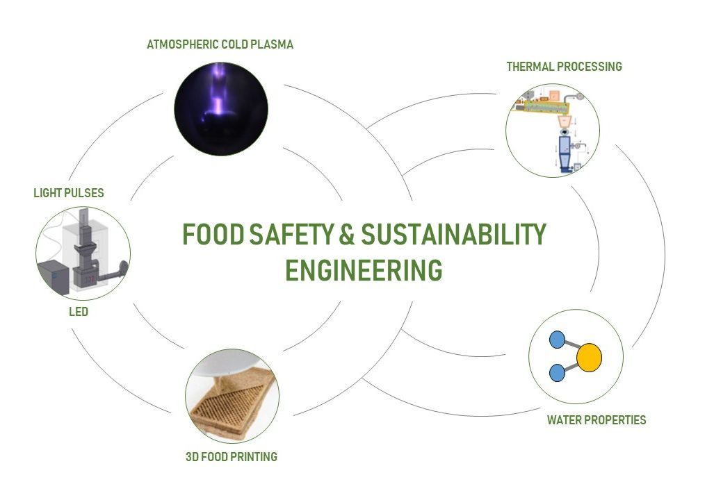 Home - Food Safety and Sustainability Engineering Research